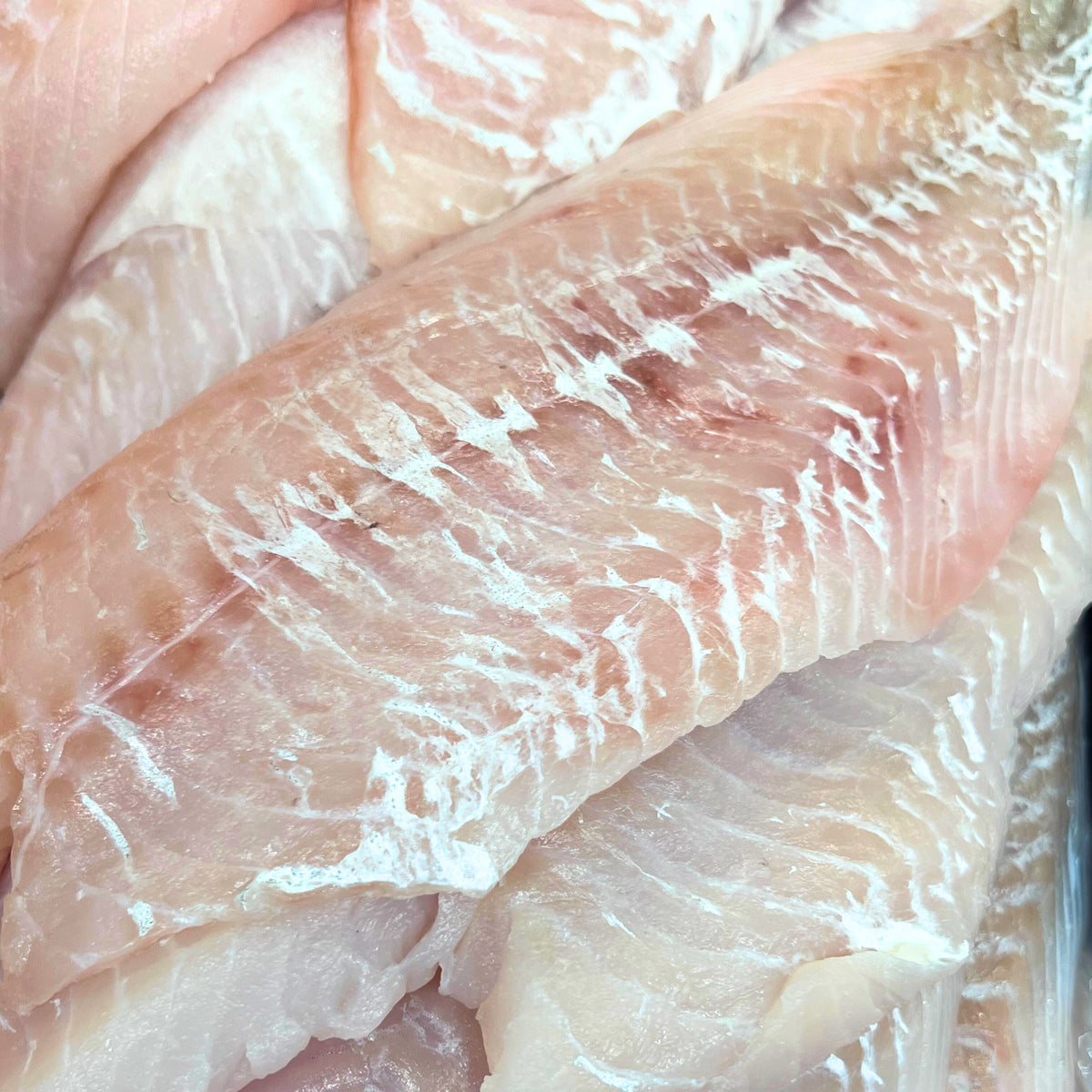 Fresh Haddock Fillet– Diana's Seafood