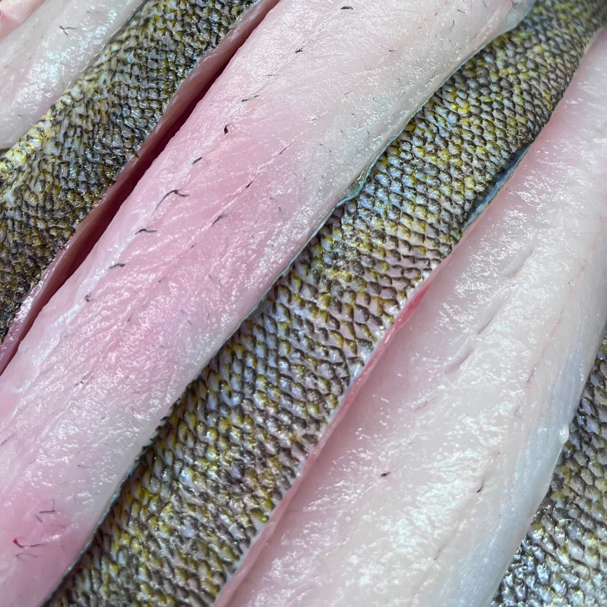 Fresh Pickerel Fillets– Diana's Seafood